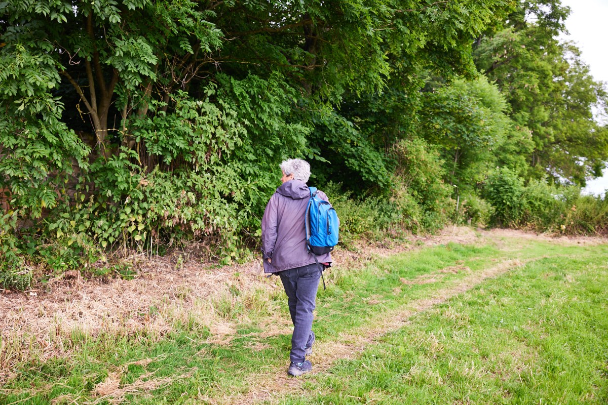 Walking the wall – Helen Riddle