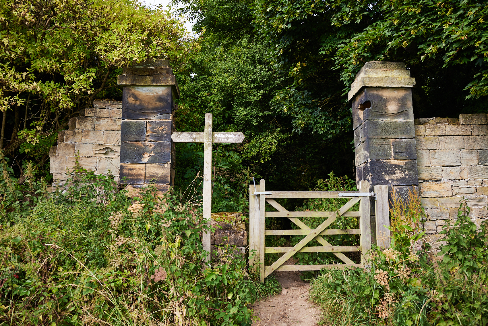 Walking the wall – Helen Riddle