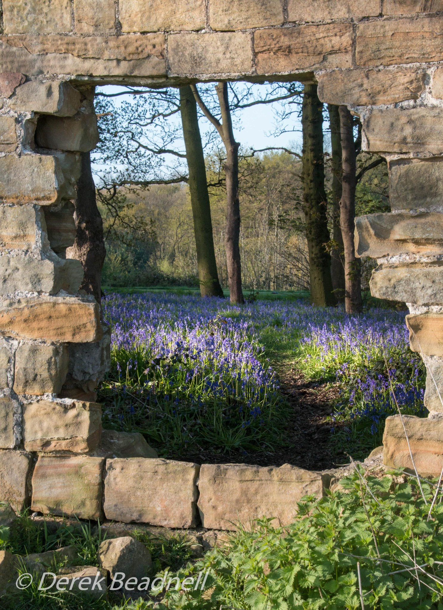 Blog – Helen Riddle