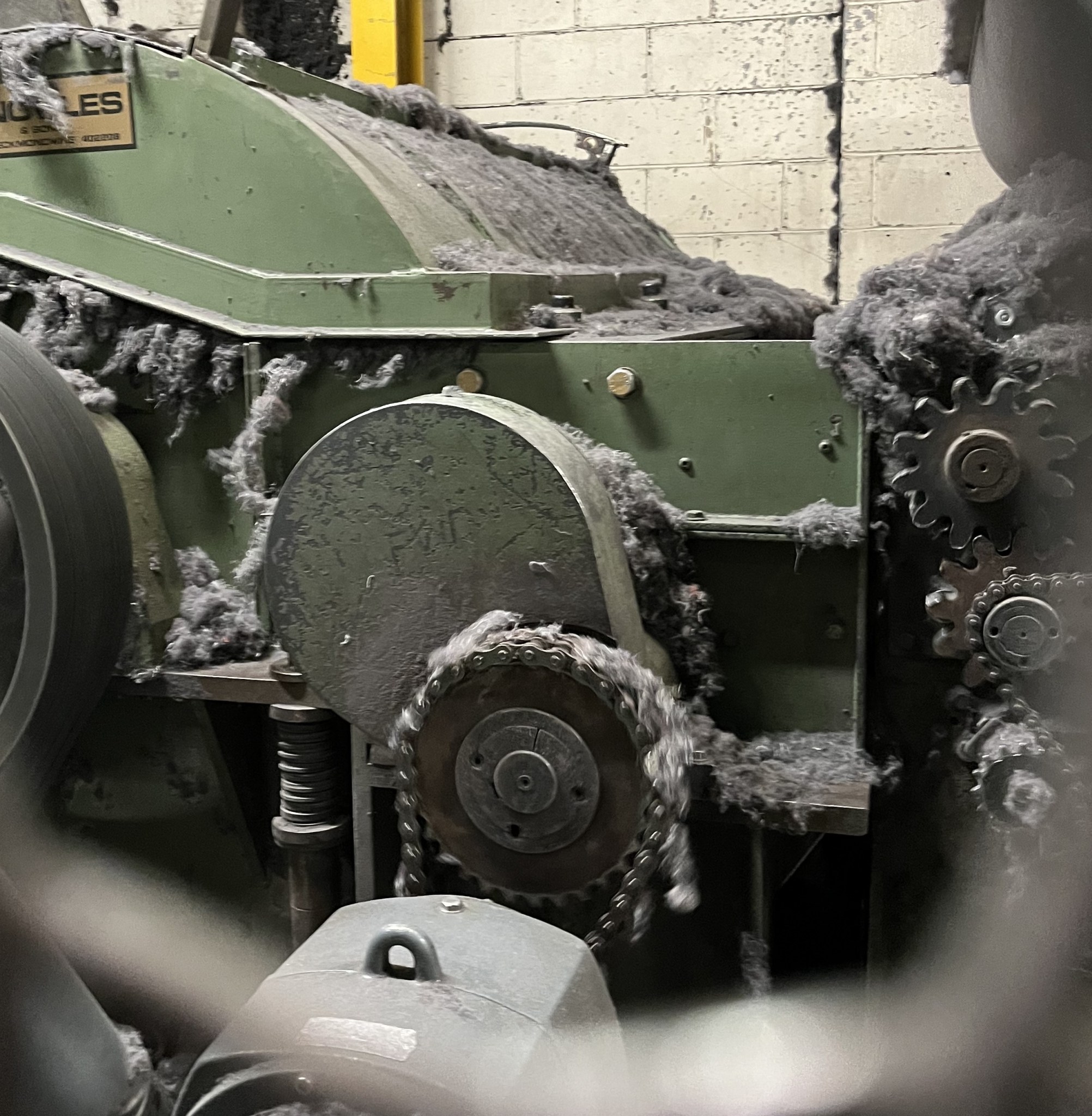 entangled – Helen Riddle